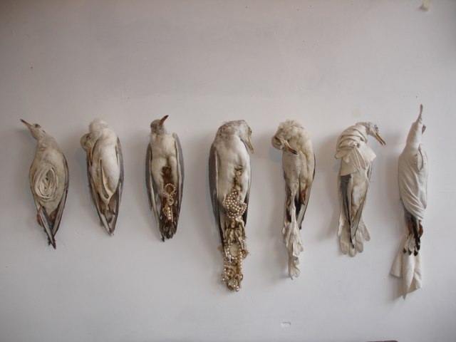 Jane Howarth’s beautiful bird guts | The Museum of Ridiculously ...