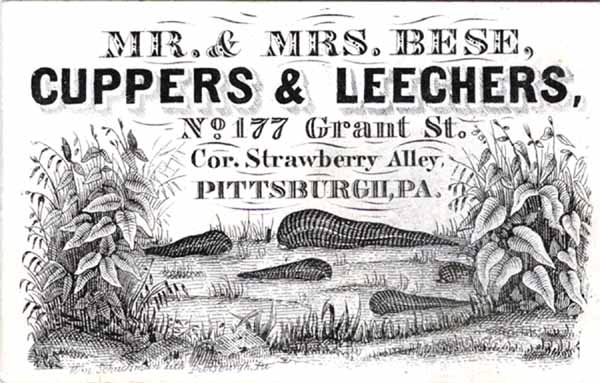 Leeches! Leeches!! Leeches!!! | The Museum of Ridiculously Interesting ...