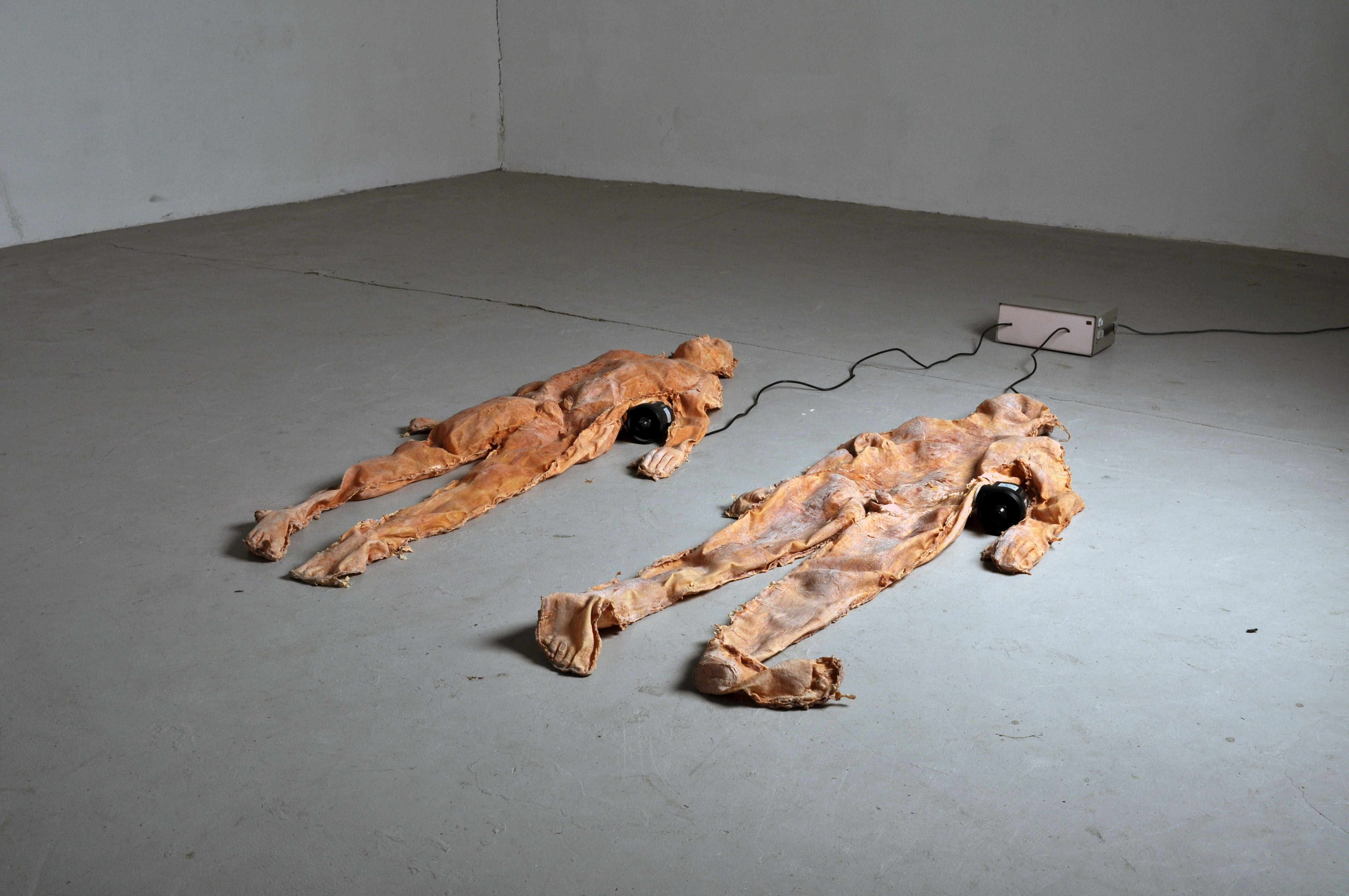 James Lomax’s inflatable skins | The Museum of Ridiculously Interesting ...