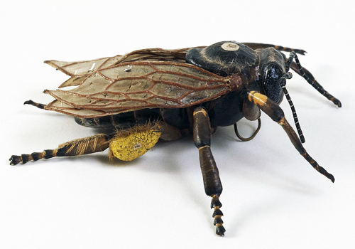 19th century papier-mâché insects | The Museum of Ridiculously ...