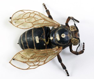 19th century papier-mâché insects | The Museum of Ridiculously ...