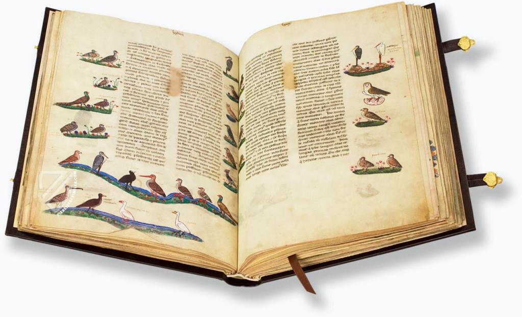 A hand-some medieval bat | The Museum of Ridiculously Interesting Things