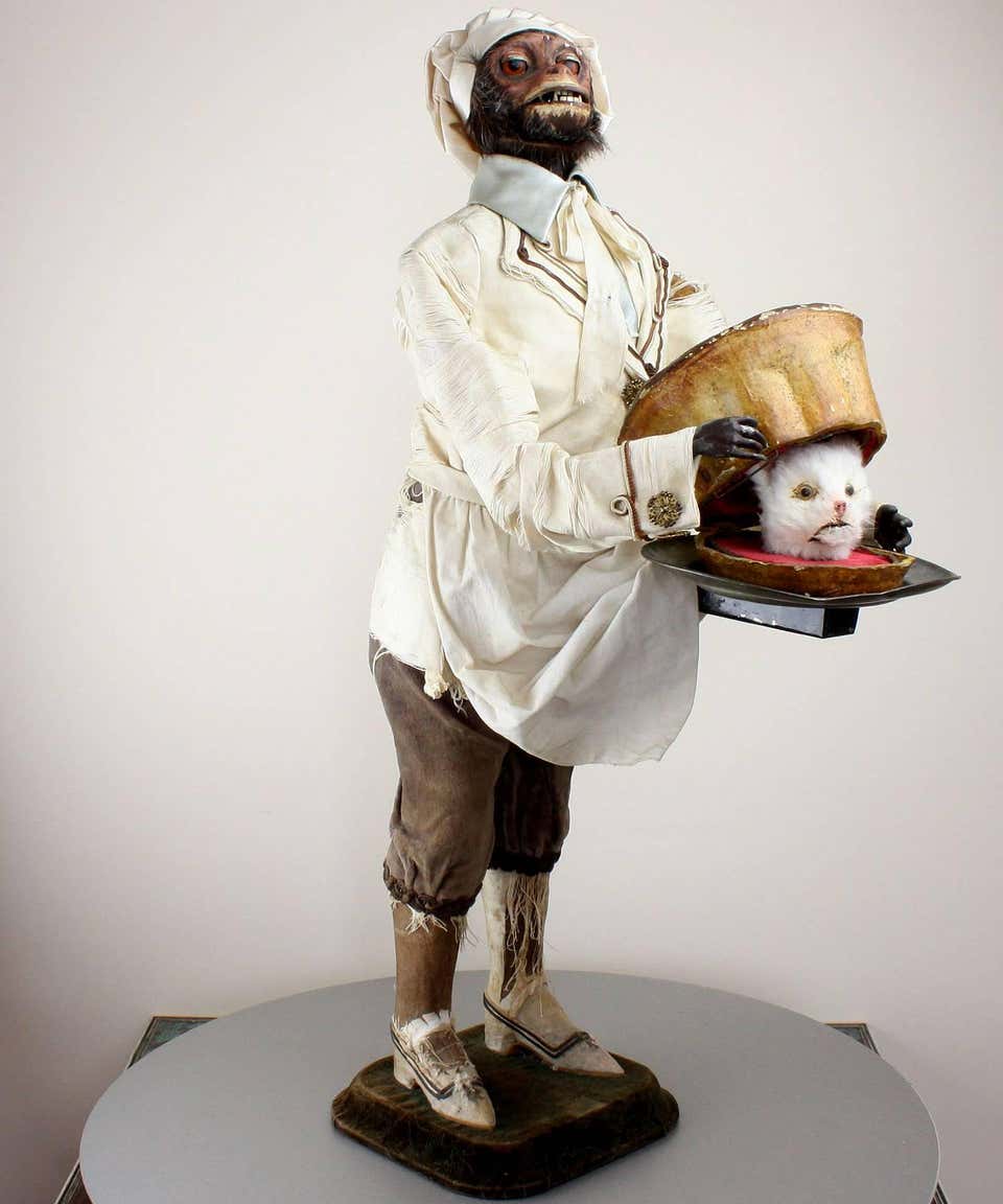 Monkey automaton with a severed cat head | The Museum of Ridiculously ...